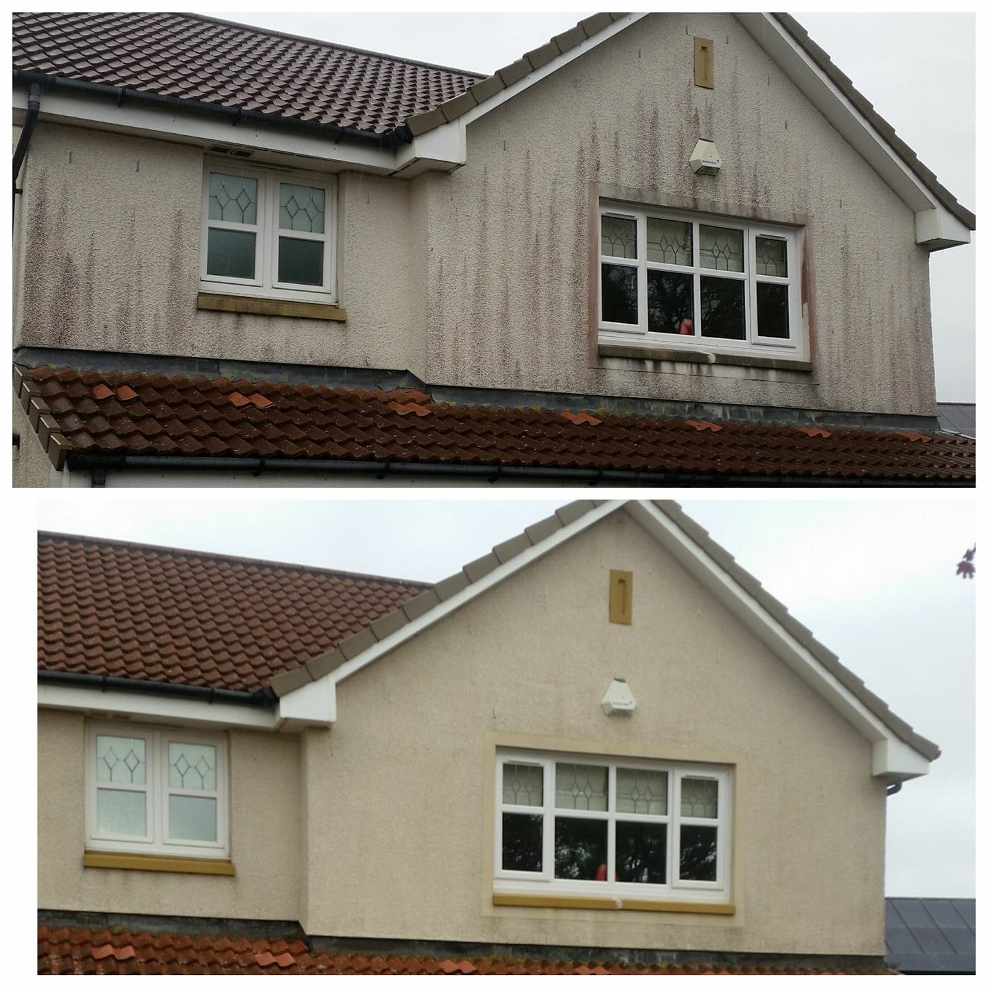 Render cleaning - Elfords
