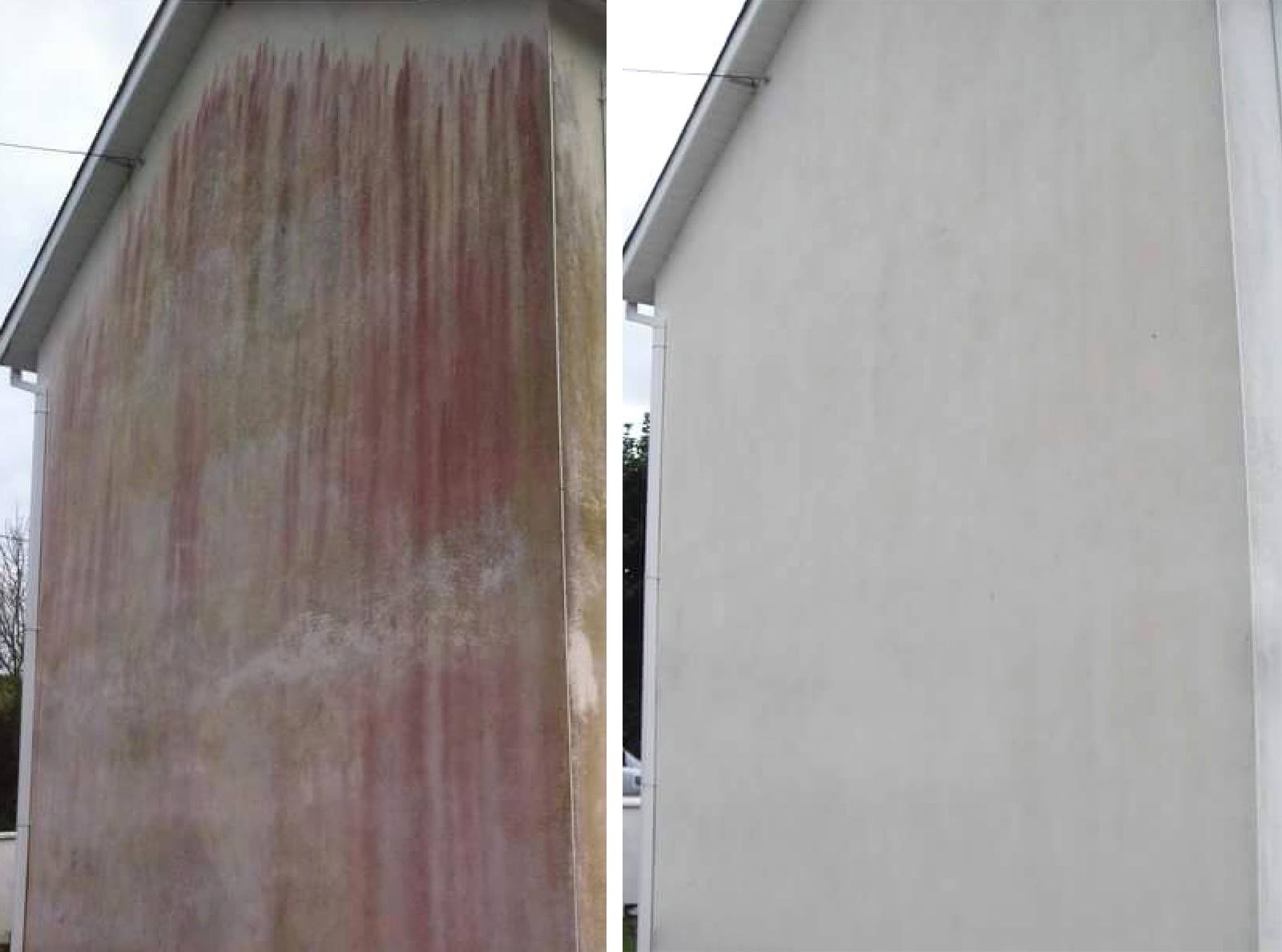 Render cleaning - Elfords